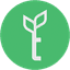 Plantd | 10 Oxygen Producing Trees That Give More Back to the Planet